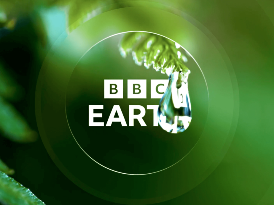 BBC EARTH: 보이는 그대로의 자연이 주인공이다 - 디자인 나침반