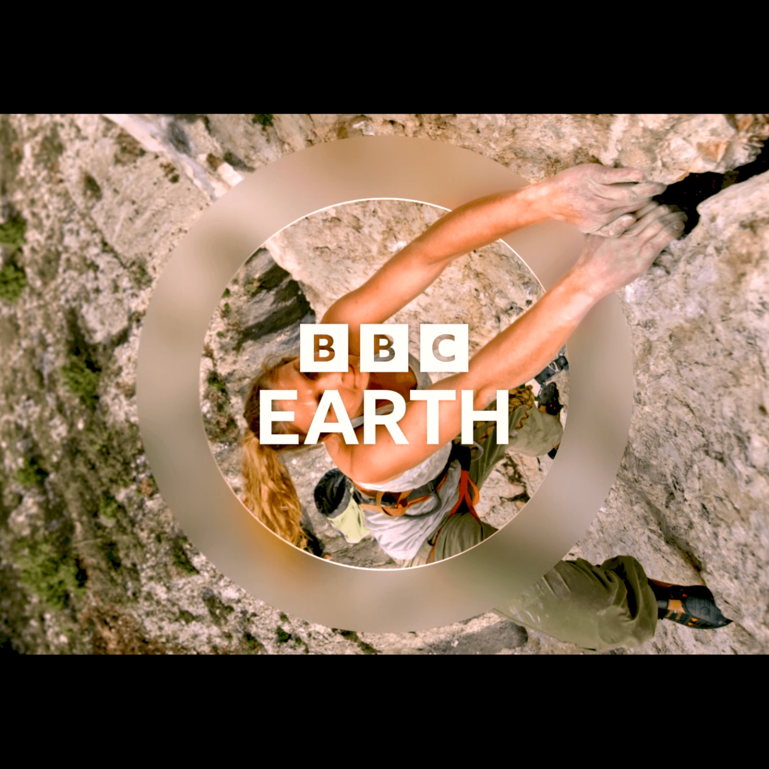 BBC EARTH: 보이는 그대로의 자연이 주인공이다 - 디자인 나침반