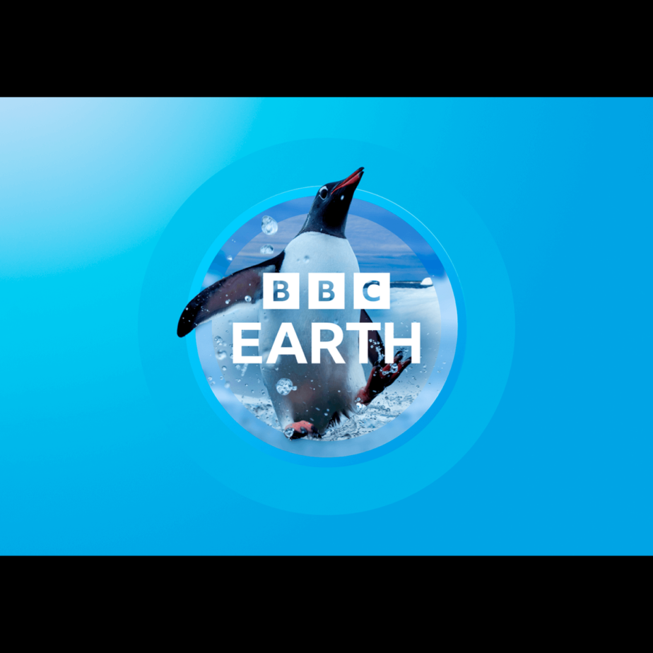 BBC EARTH: 보이는 그대로의 자연이 주인공이다 - 디자인 나침반